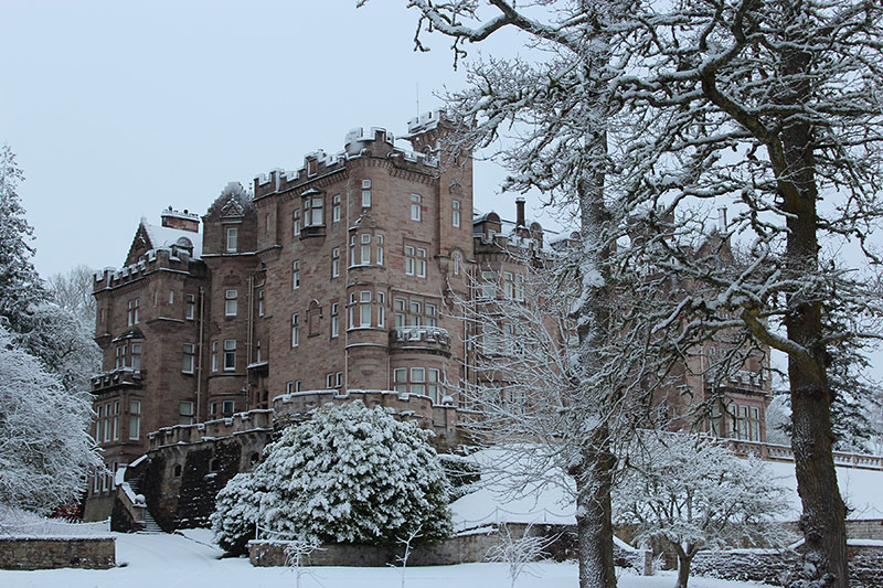 Endangered Conifers at Skibo | Carnegie Club