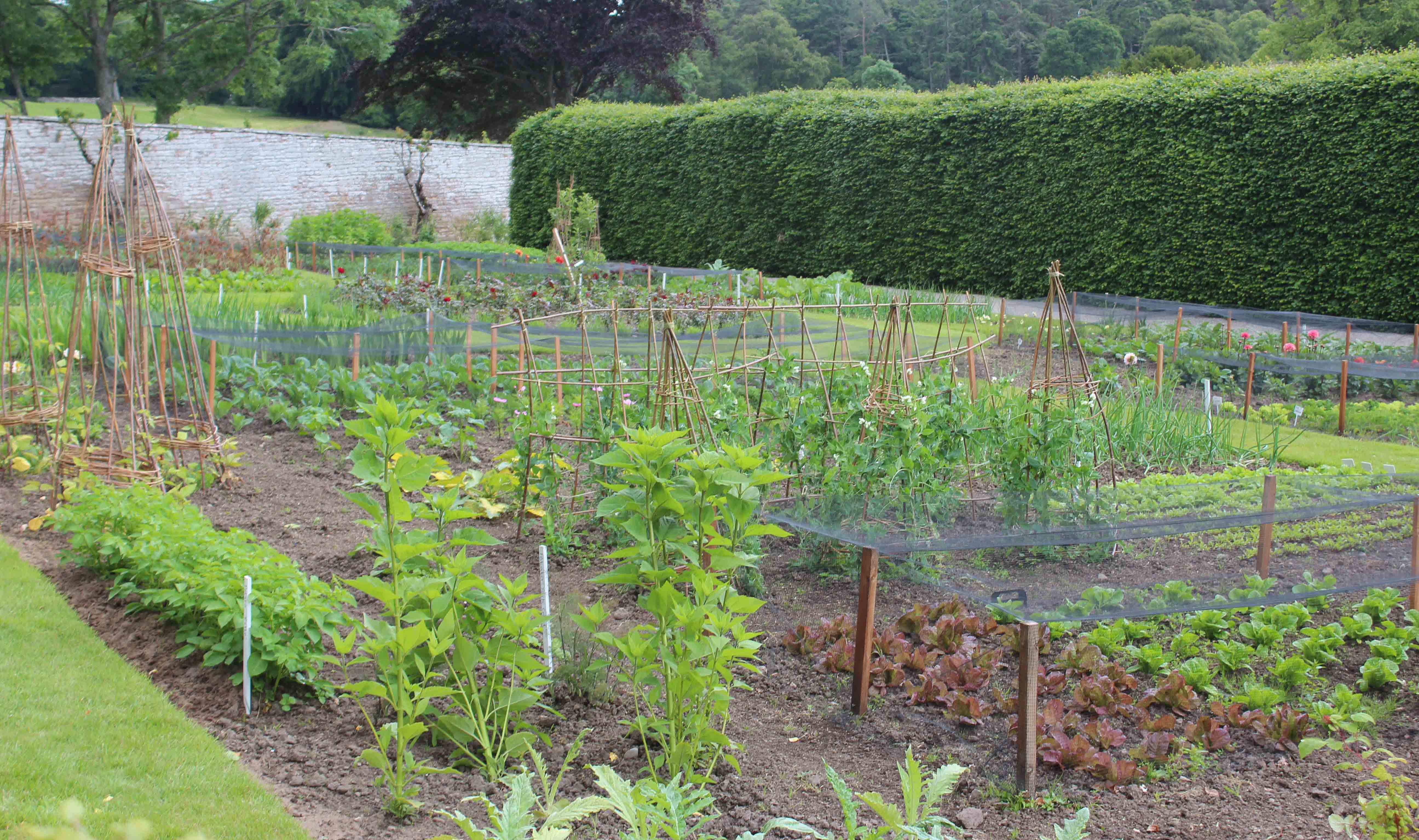 Skibo's Walled Garden | Carnegie Club